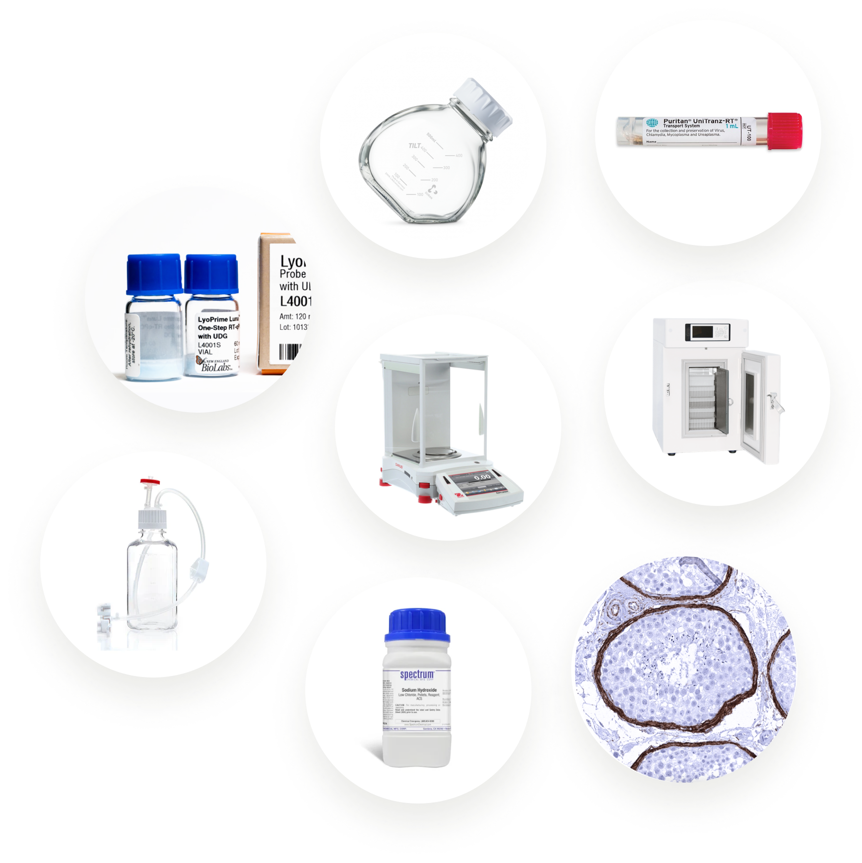 Marketplace | Labscoop